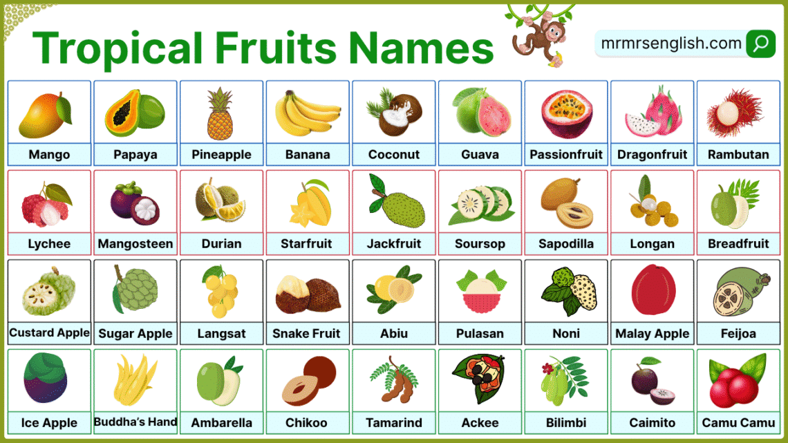 Tropical Fruits Names in English with Their Pictures - MR MRS ENGLISH