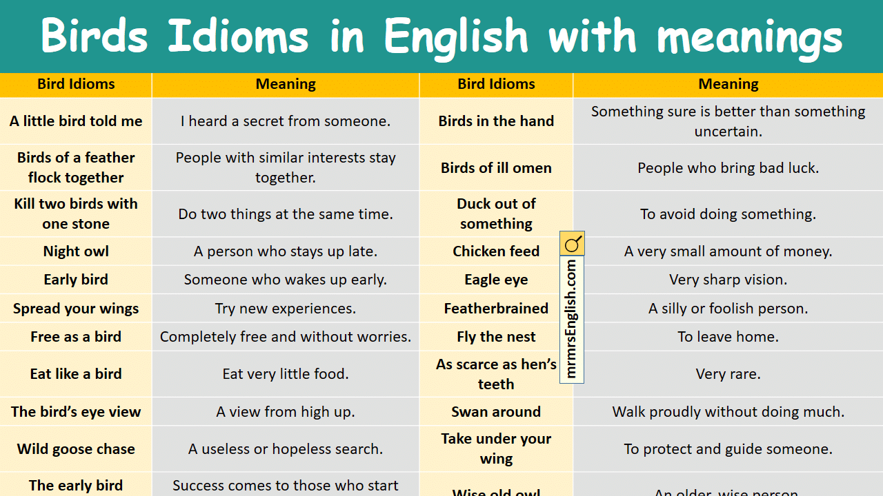 Bird Idioms in English with meanings and Pictures - MR MRS ENGLISH