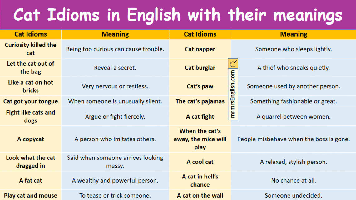 Cat Idioms in English with their meanings and Pictures - MR MRS ENGLISH