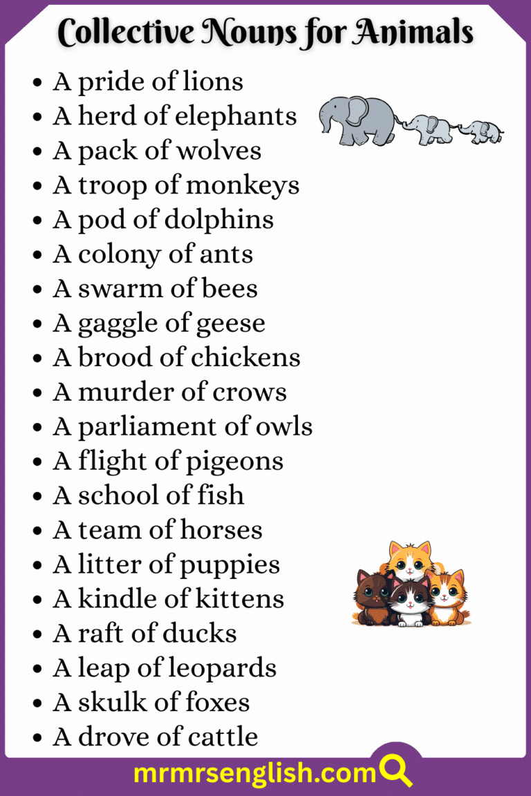 Examples of Collective Nouns for Animals in English with Pictures - MR ...