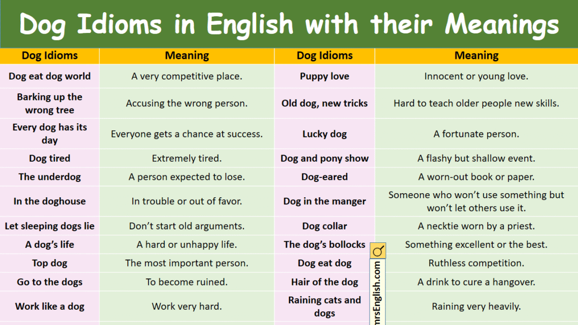 Dog Idioms in English with their Meanings and Pictures - MR MRS ENGLISH