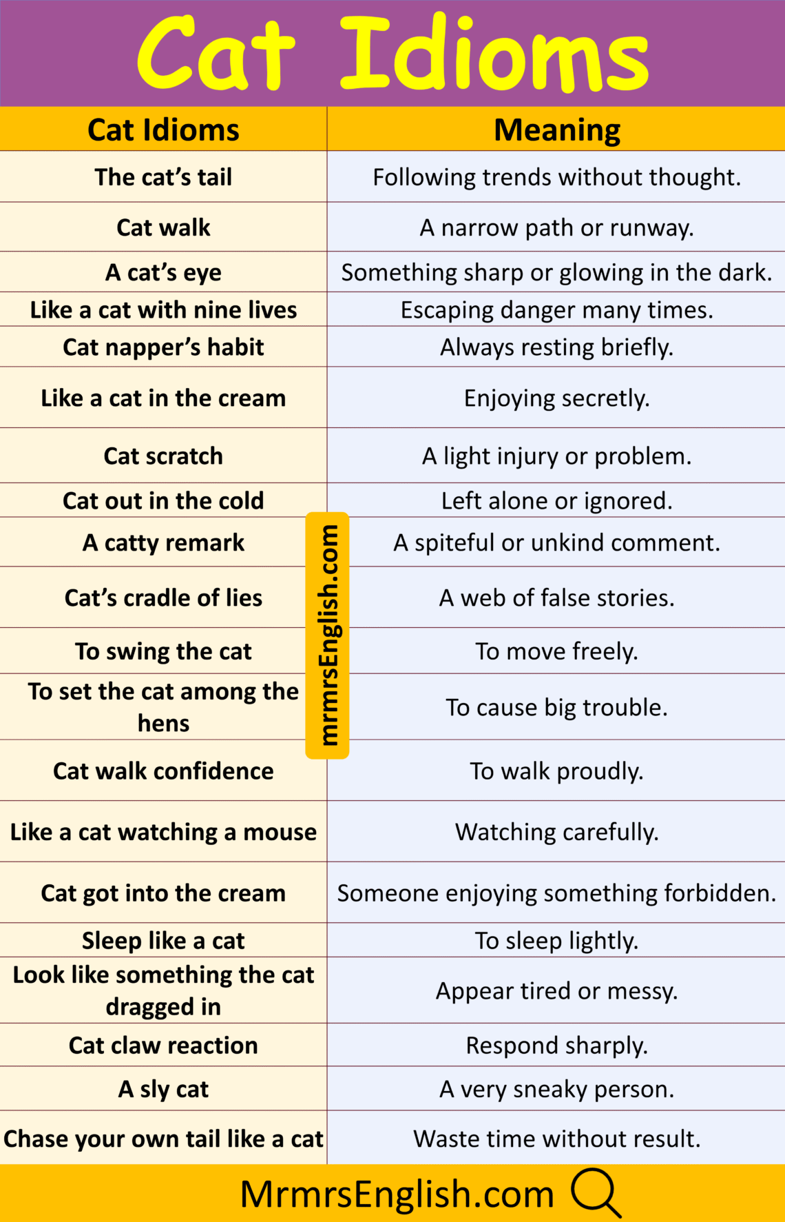 Cat Idioms in English with their meanings and Pictures - MR MRS ENGLISH