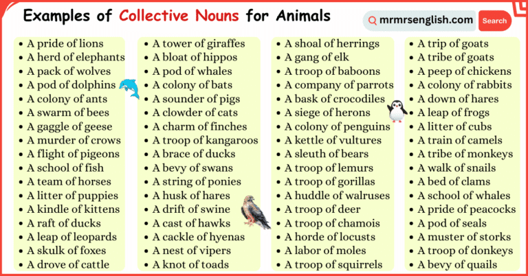 Examples of Collective Nouns for Animals in English with Pictures - MR ...