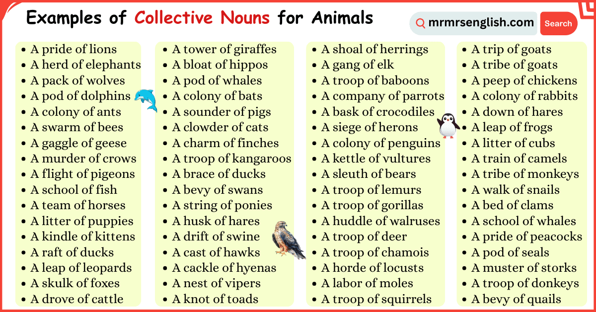 Examples of Collective Nouns for Animals in English with Pictures - MR ...