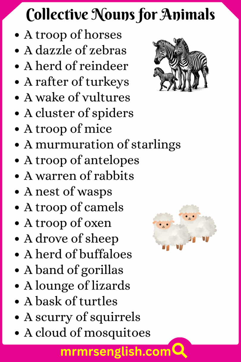 Examples of Collective Nouns for Animals in English with Pictures - MR ...
