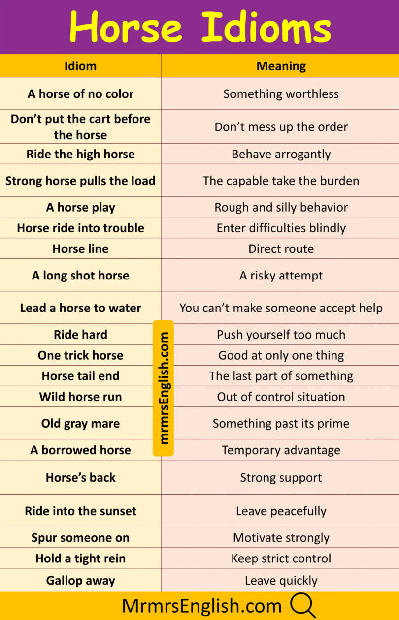 Horse Idioms in English with their meanings and Pictures - MR MRS ENGLISH