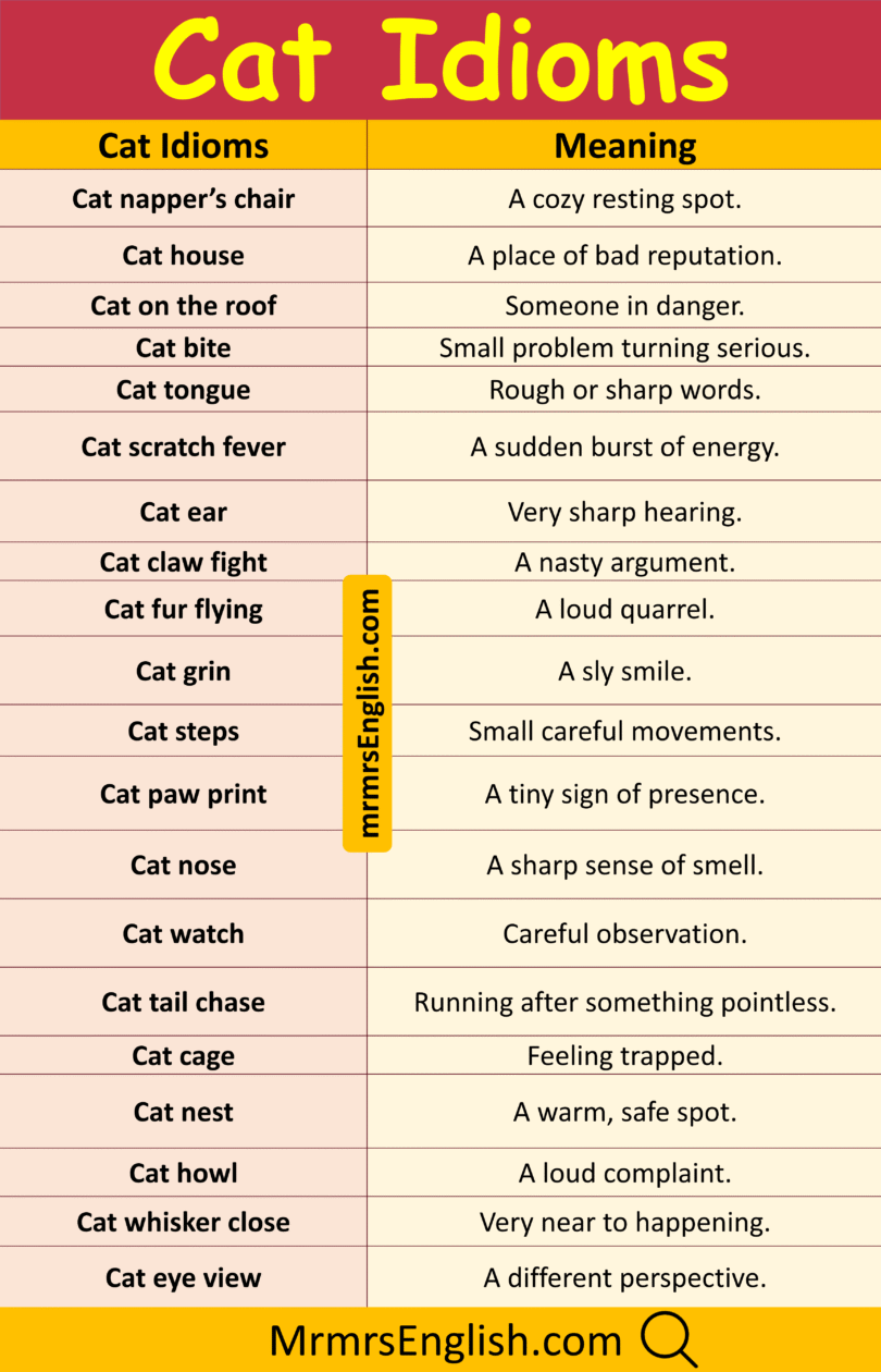 Cat Idioms in English with their meanings and Pictures - MR MRS ENGLISH