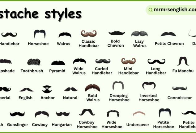 Exotic Fruits Names in English with Their Pictures - MR MRS ENGLISH