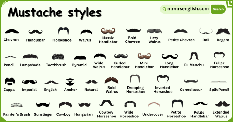 Different Mustache Styles Names in English with Pictures - MR MRS ENGLISH