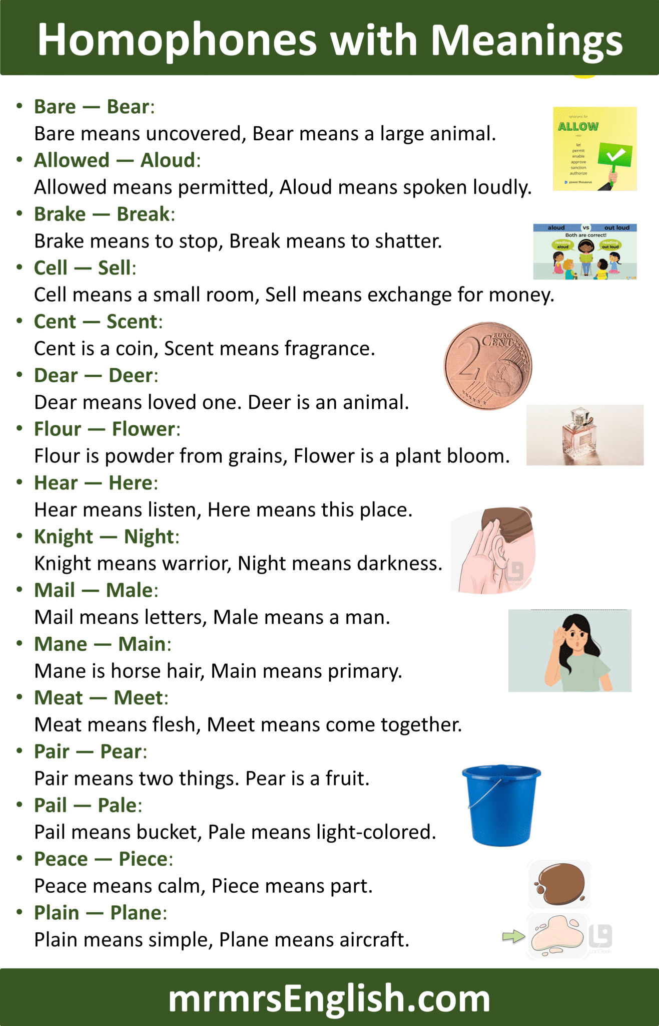 100 Homophones with Their Meanings in English with Pictures - MR MRS ...