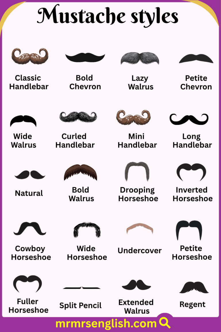 Different Mustache Styles Names in English with Pictures - MR MRS ENGLISH