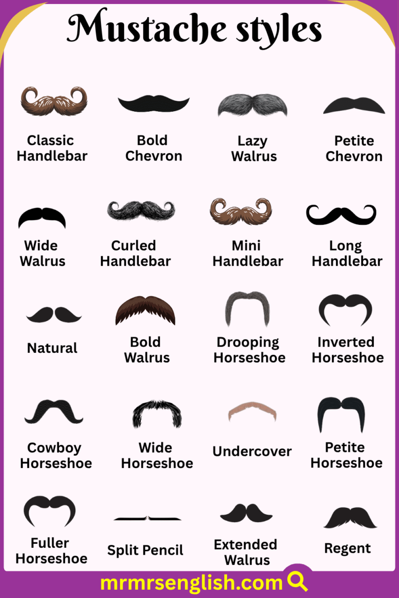 Different Mustache Styles Names in English with Pictures - MR MRS ENGLISH