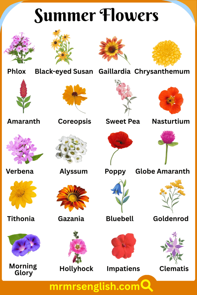 Summer Flowers Names in English with Their Pictures - MR MRS ENGLISH
