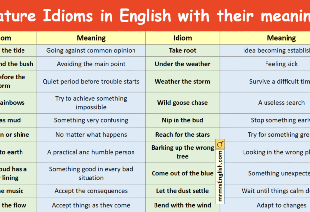 Appearance Idioms in English with their Meanings and Pictures - MR MRS ...