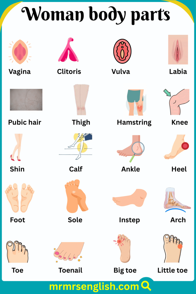 Woman Body Parts Names in English with Pictures - MR MRS ENGLISH