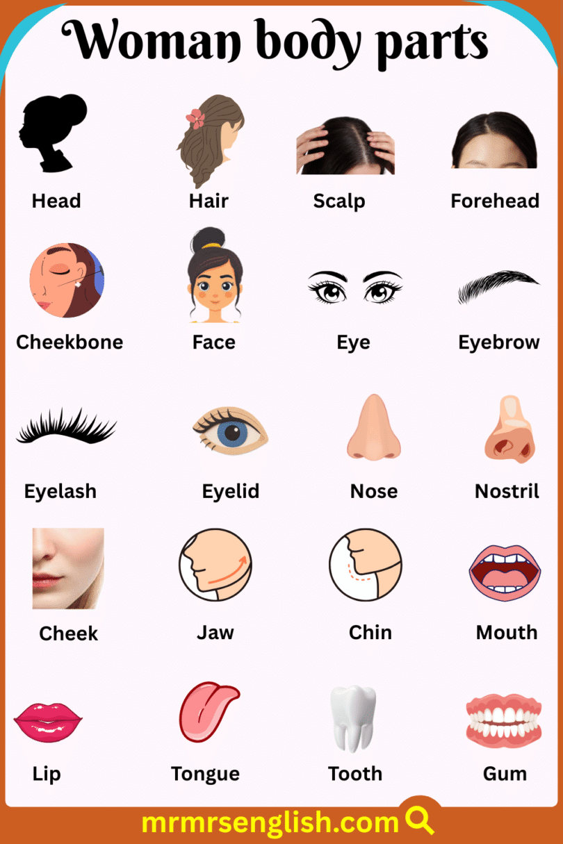 Woman Body Parts Names in English with Pictures - MR MRS ENGLISH