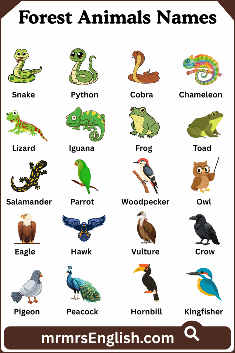 Forest Animals Names in English with Their Pictures - MR MRS ENGLISH