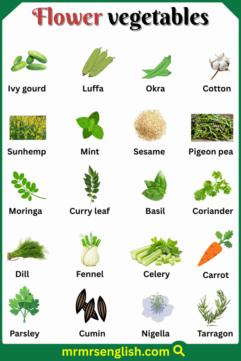 Flower Vegetables Names in English with their Pictures - MR MRS ENGLISH