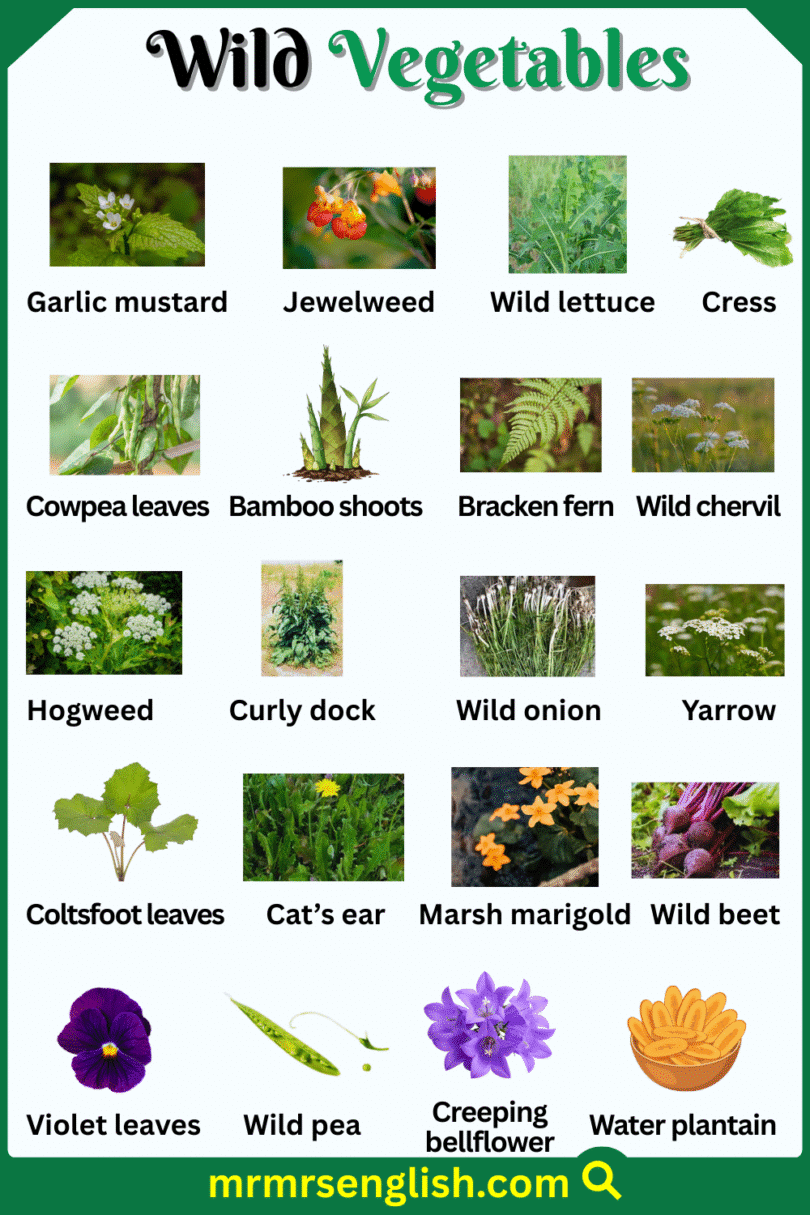 Wild Vegetables Names in English with their Pictures - MR MRS ENGLISH