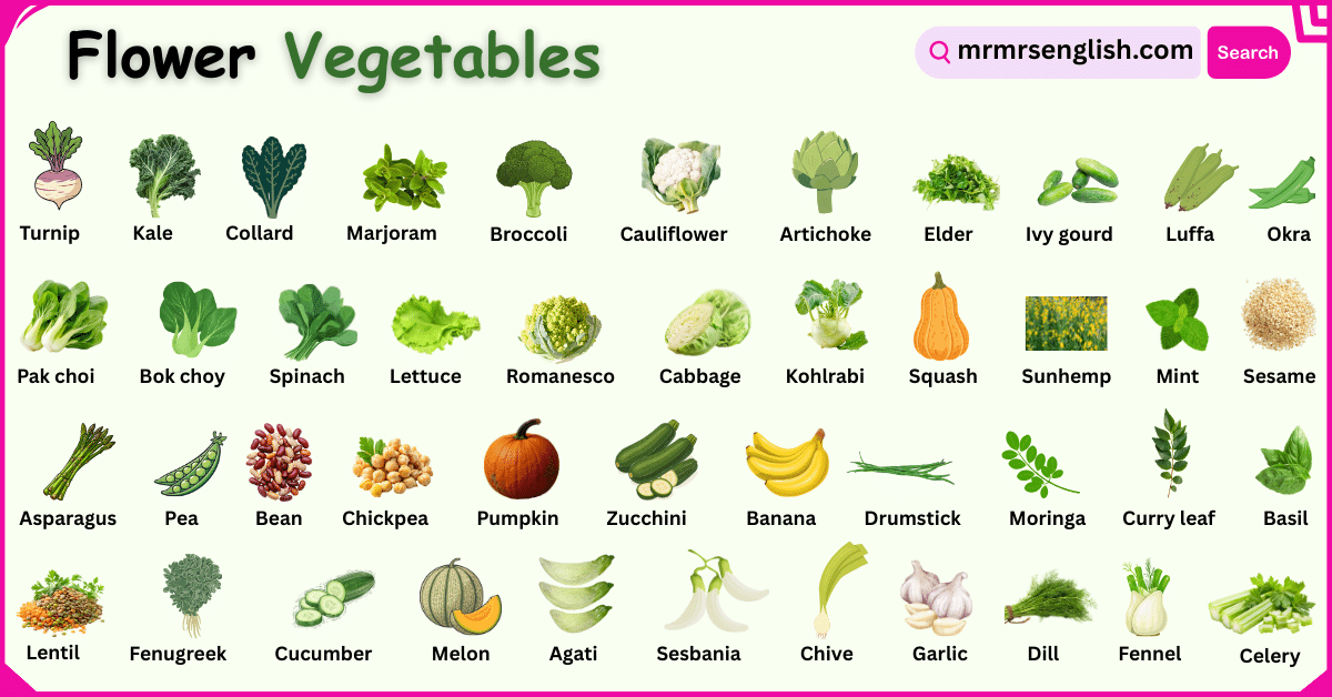 Flower Vegetables Names in English with their Pictures - MR MRS ENGLISH