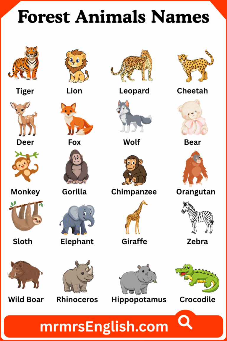 Forest Animals Names in English with Their Pictures - MR MRS ENGLISH
