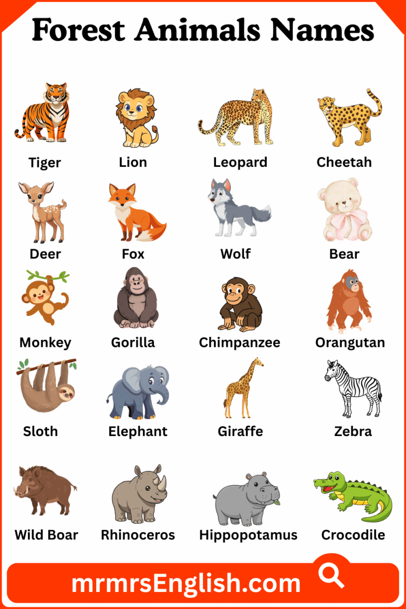 Forest Animals Names in English with Their Pictures - MR MRS ENGLISH