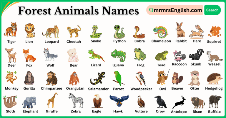 Forest Animals Names in English with Their Pictures - MR MRS ENGLISH
