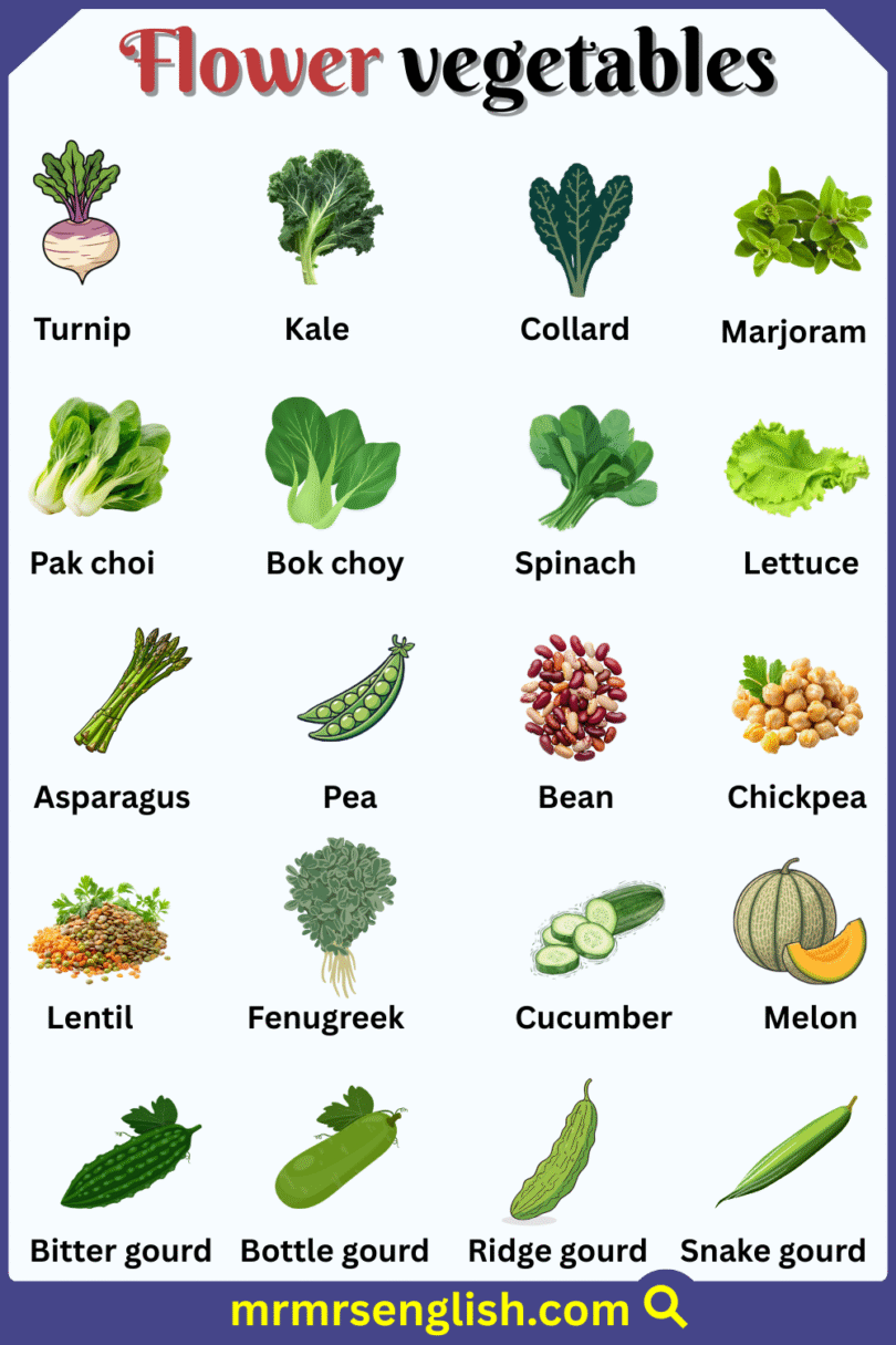Flower Vegetables Names in English with their Pictures - MR MRS ENGLISH
