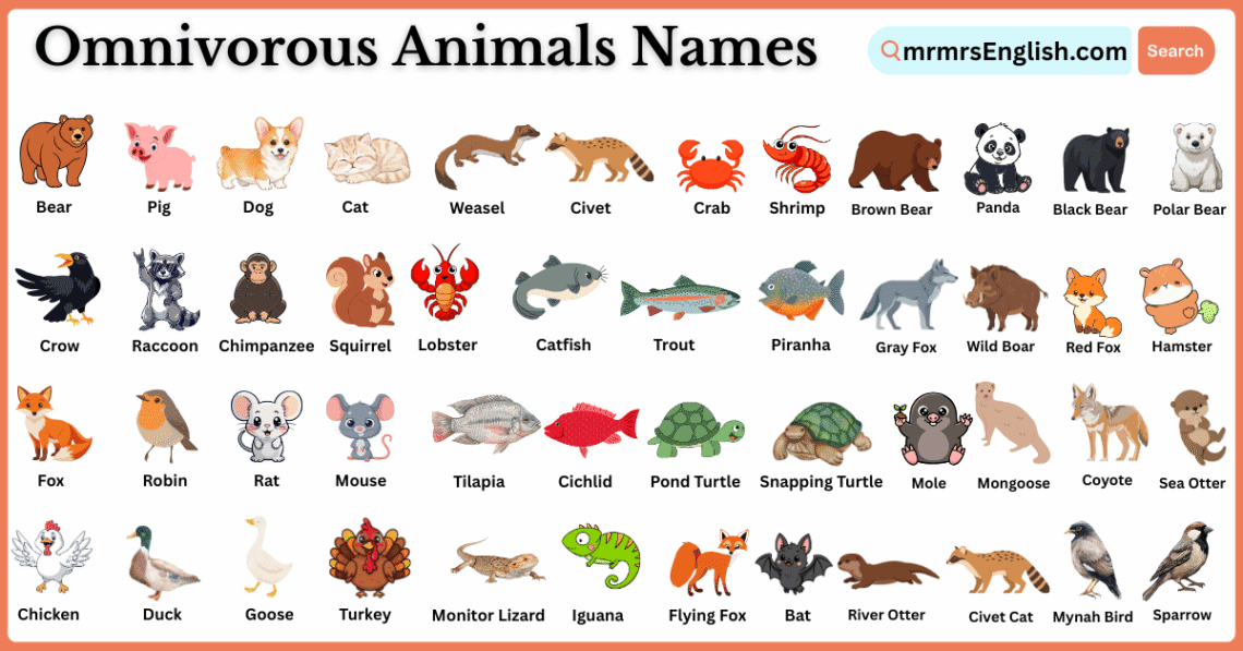 Omnivorous Animals Names in English and Pictures - MR MRS ENGLISH