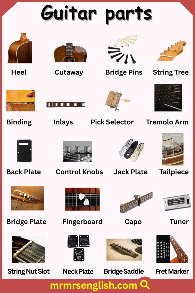 Guitar Parts Names in English with their Pictures - MR MRS ENGLISH