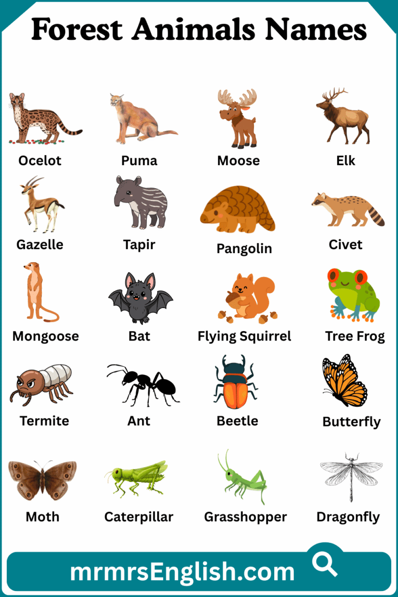 Forest Animals Names in English with Their Pictures - MR MRS ENGLISH