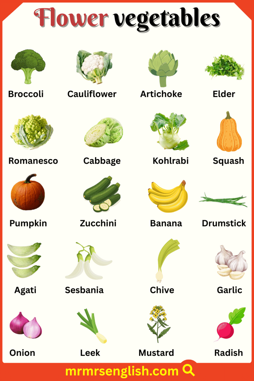 Flower Vegetables Names in English with their Pictures - MR MRS ENGLISH
