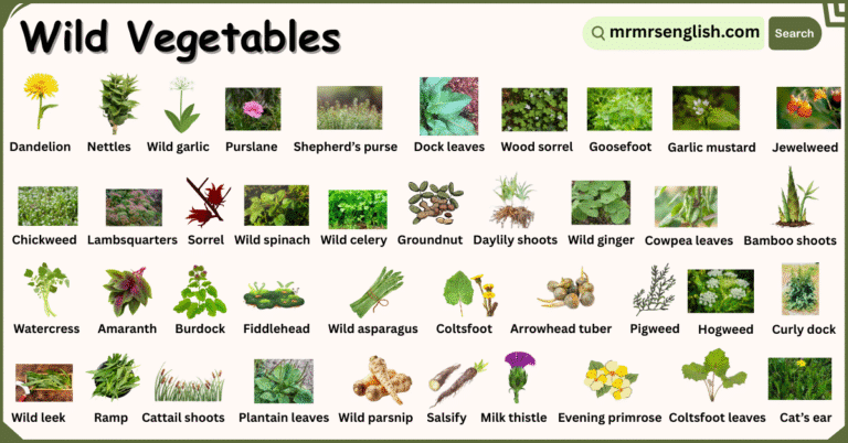 Wild Vegetables Names in English with their Pictures - MR MRS ENGLISH