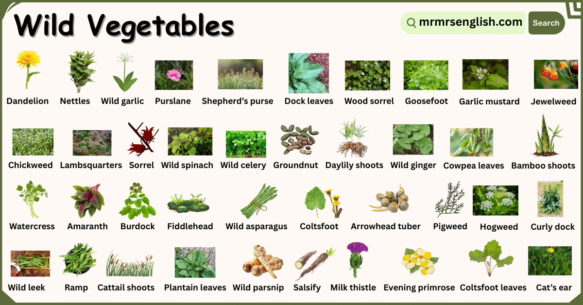 Wild Vegetables Names in English with their Pictures - MR MRS ENGLISH
