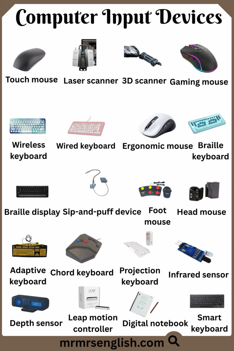 Computer Input Devices Names in English with Their Pictures - MR MRS ...