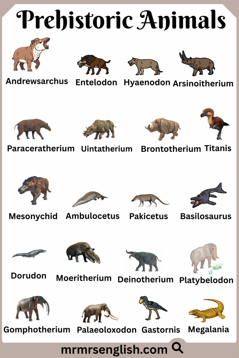 Prehistoric Animals Names in English with Their Pictures - MR MRS ENGLISH