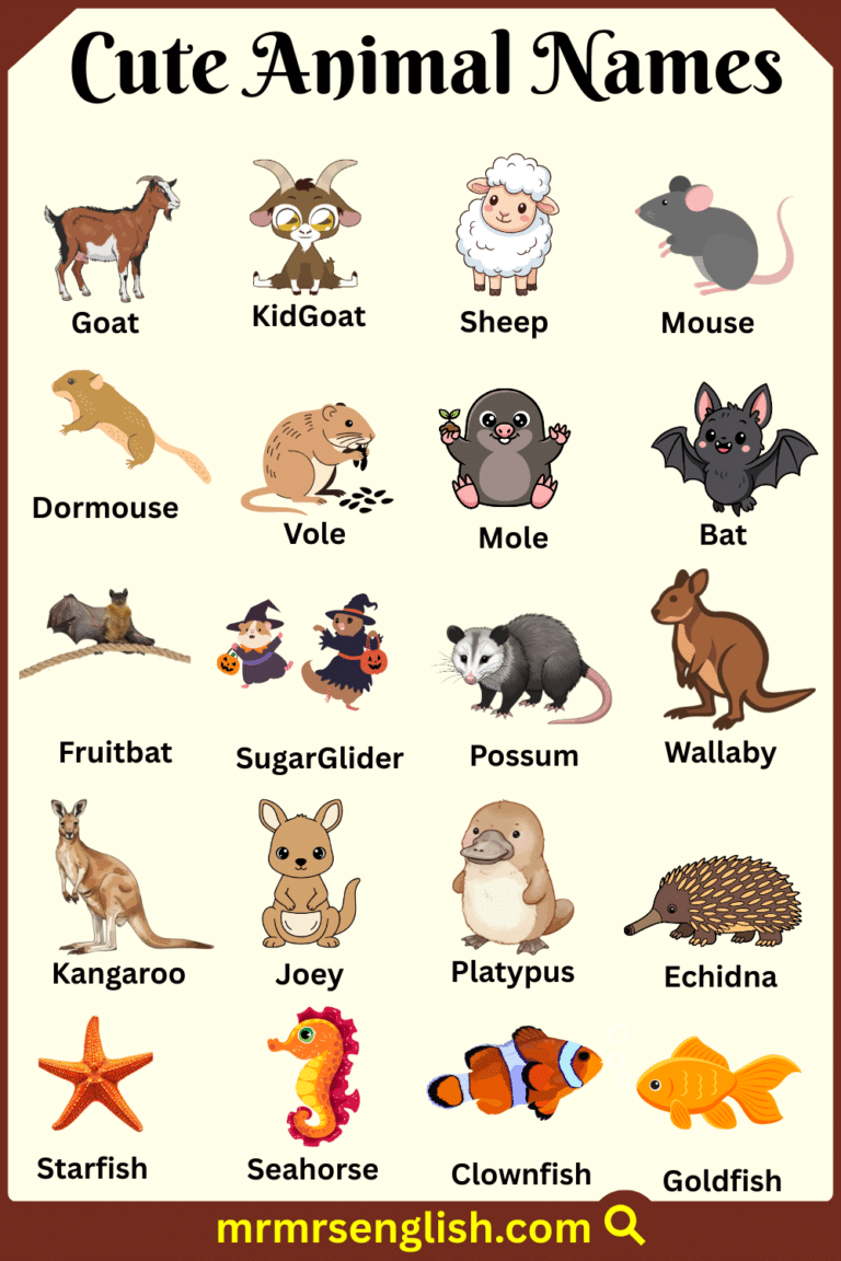Cute Animals Names in English with Their Pictures - MR MRS ENGLISH