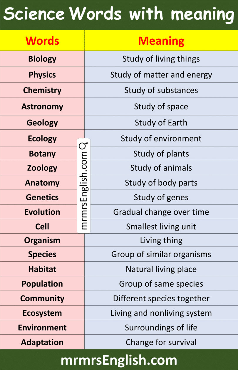 Science Words with meaning in English and Pictures - MR MRS ENGLISH