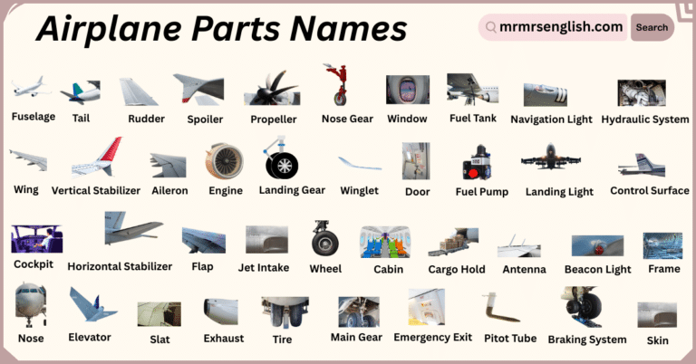 Airplane Parts Names in English with Their Pictures - MR MRS ENGLISH