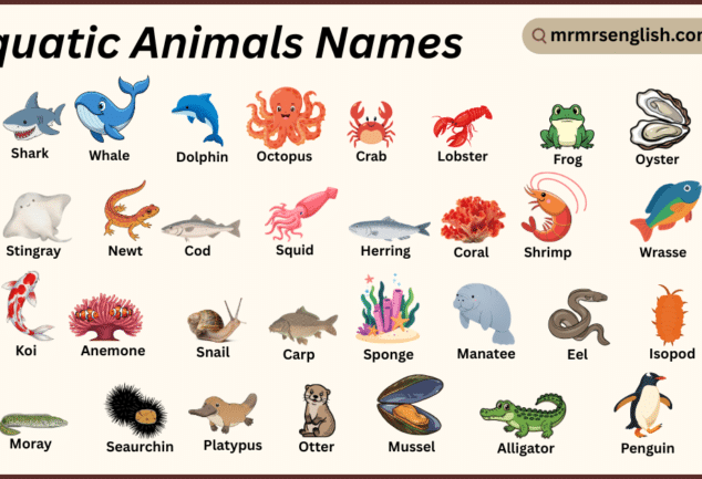 Water Animals Names in English with their Pictures - MR MRS ENGLISH