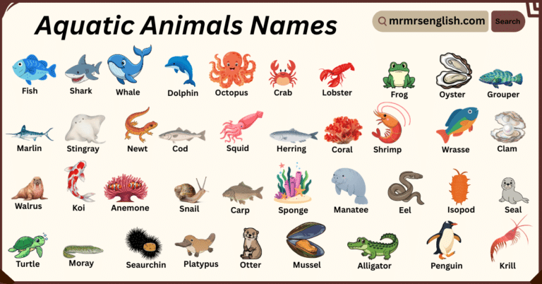Aquatic Animals Names in English with Their Pictures - MR MRS ENGLISH