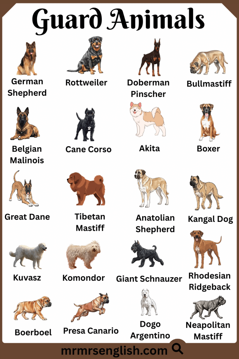 Guard Animals Names in English with Their Pictures - MR MRS ENGLISH