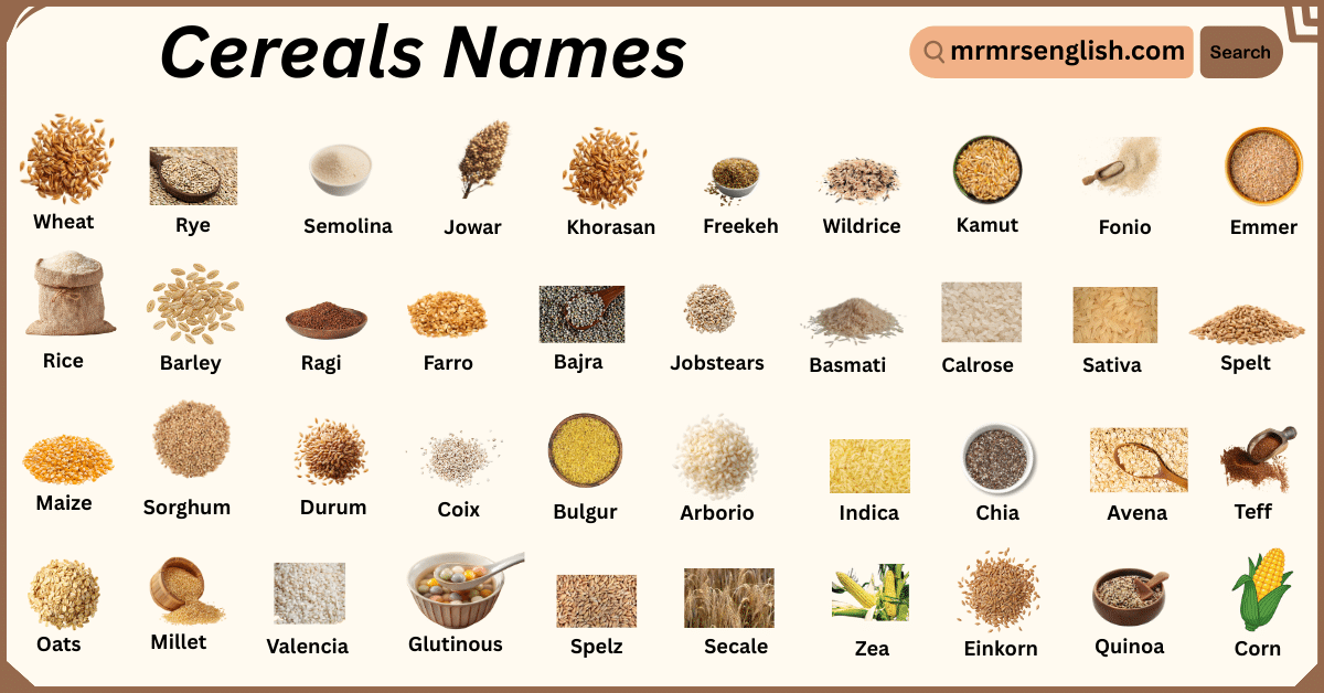 Cereals Names in English with Their Pictures - MR MRS ENGLISH