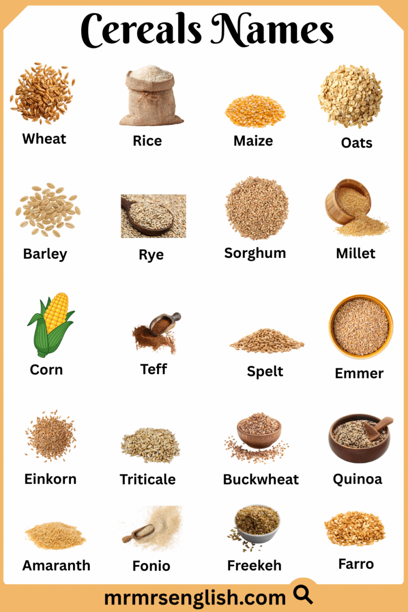 Cereals Names in English with Their Pictures - MR MRS ENGLISH