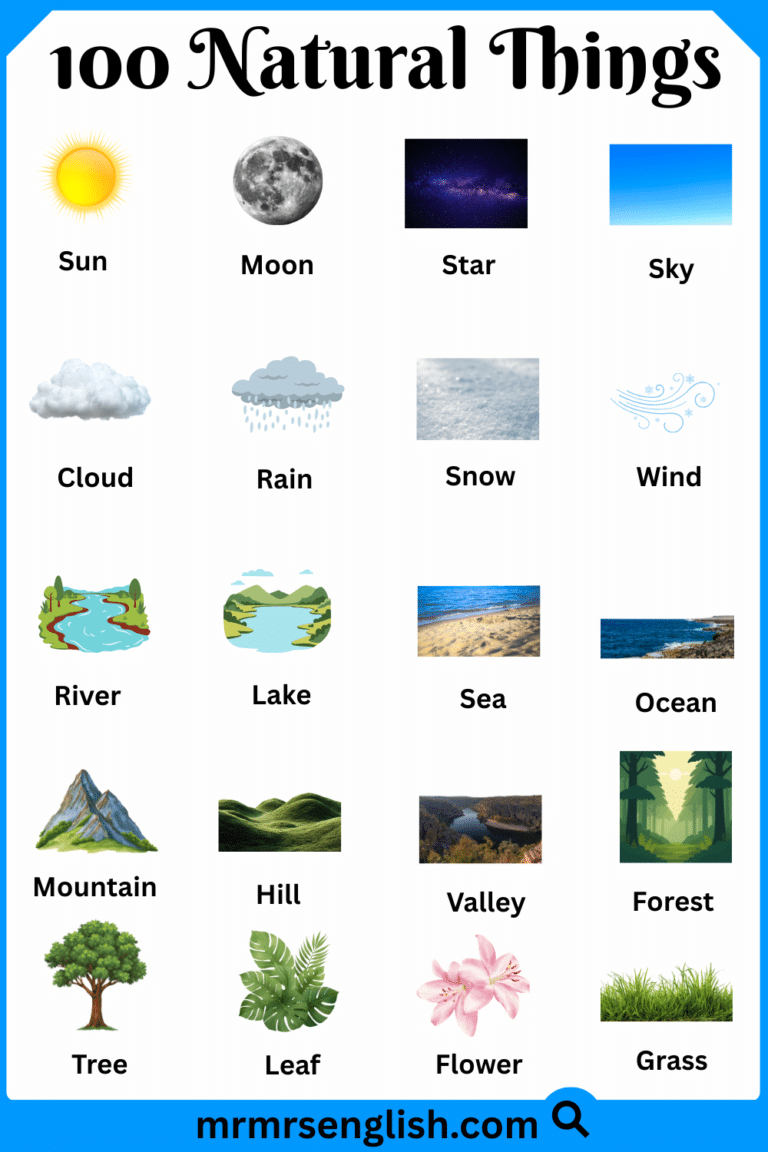 100 Natural Things Names in English with Their Pictures - MR MRS ENGLISH