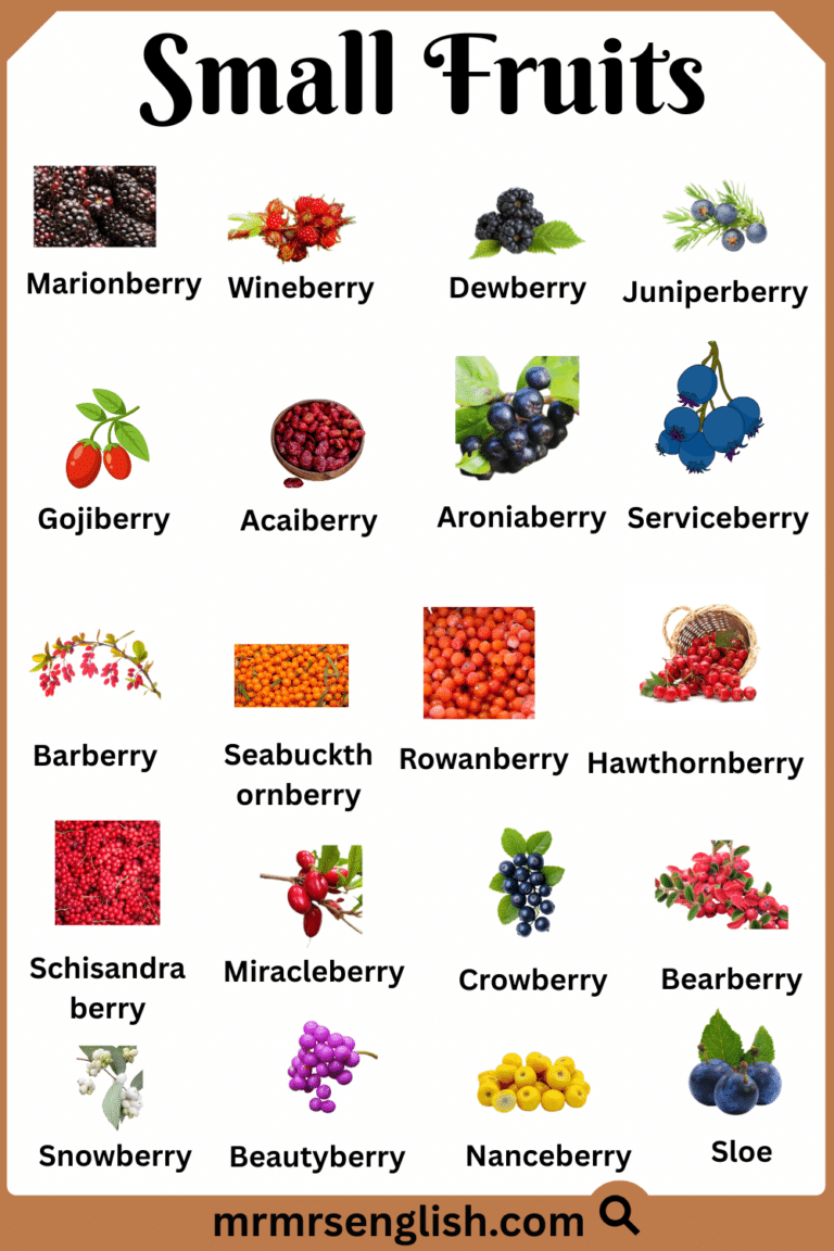 Small Fruits Names in English with Their Pictures - MR MRS ENGLISH