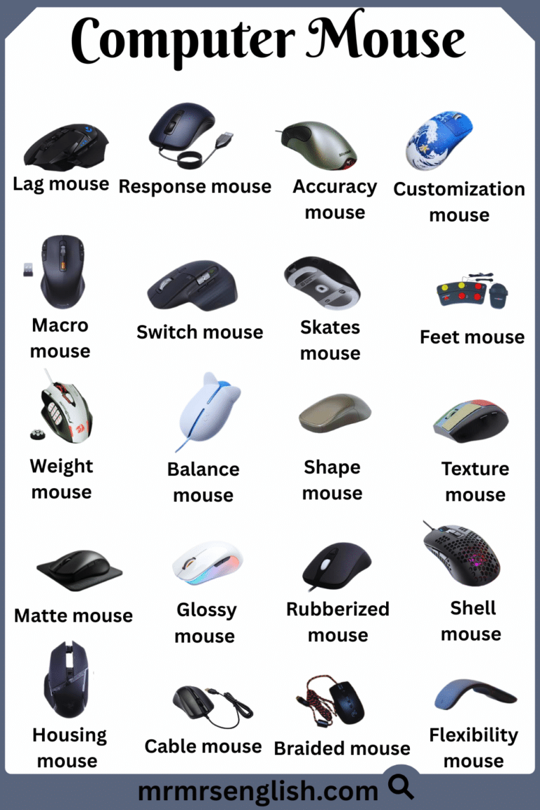 Different Types of Computer Mouse Names with Pictures - MR MRS ENGLISH