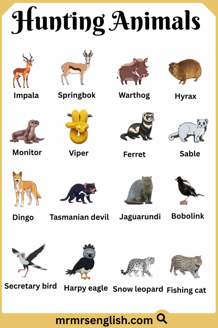 Hunting Animals Names in English with Their Pictures - MR MRS ENGLISH