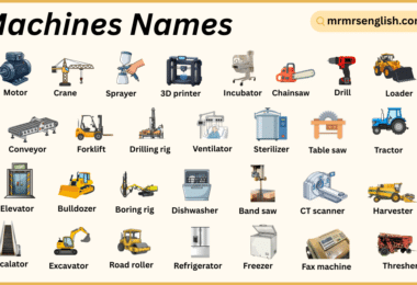 Woodworking items Names in English with Their Pictures - MR MRS ENGLISH