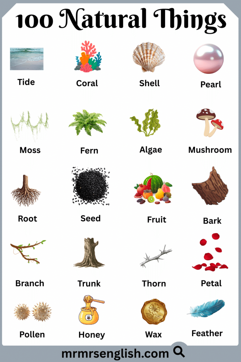 100 Natural Things Names in English with Their Pictures - MR MRS ENGLISH